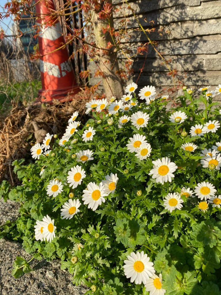 3A-5 – ARC東京日本語学校